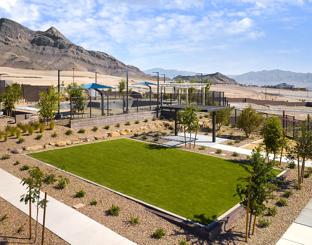 Vertex | Summerlin