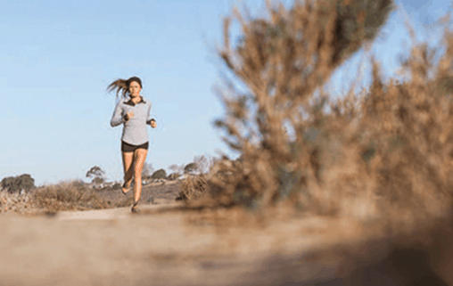 A Natural Playground