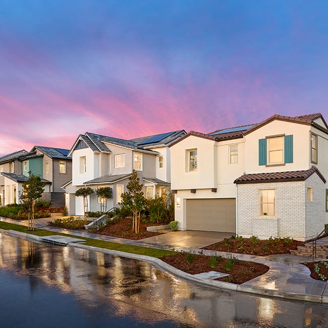 Botanica Exterior Forture