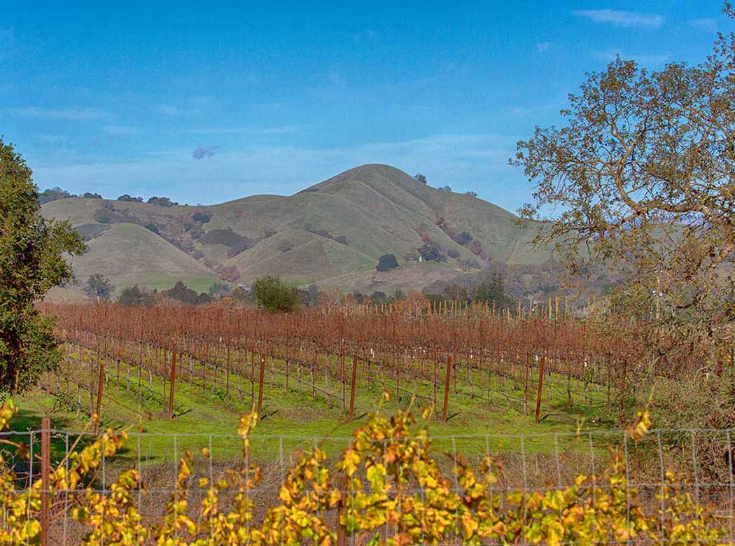 Find your home at Brix at Glen Loma