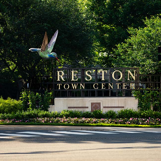 Lake Anne Towns Reston Town Center Focus