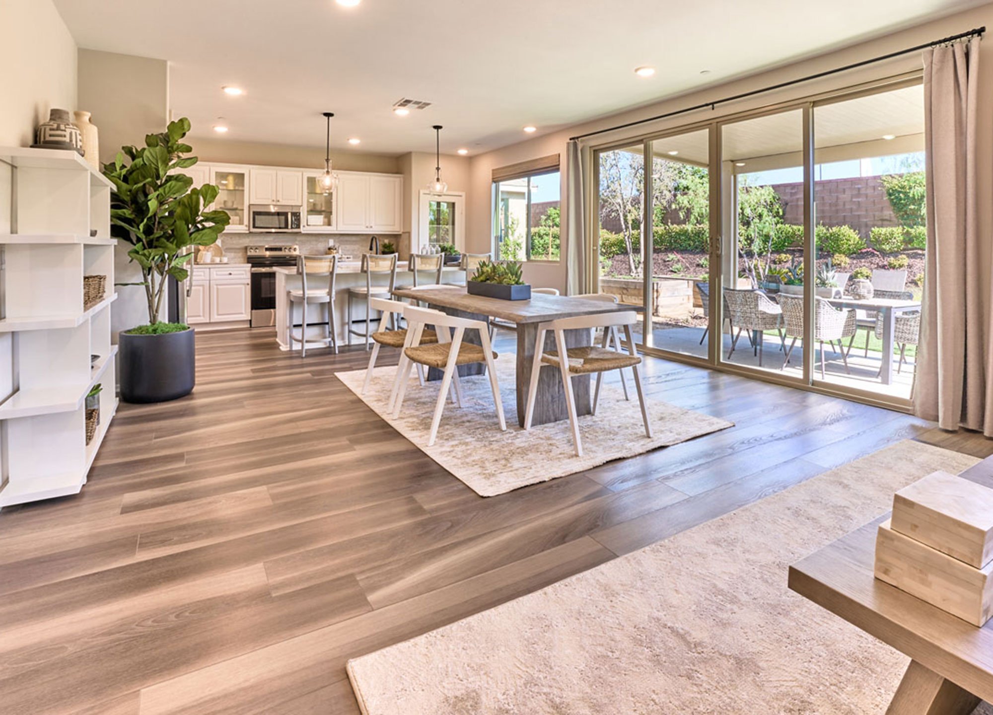 TPH-IE_Ciena_Model-2_3_2000x1440