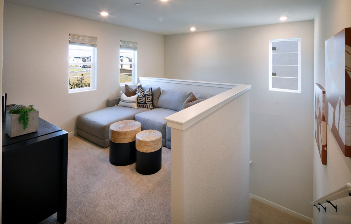 Vibrance Plan1 Model