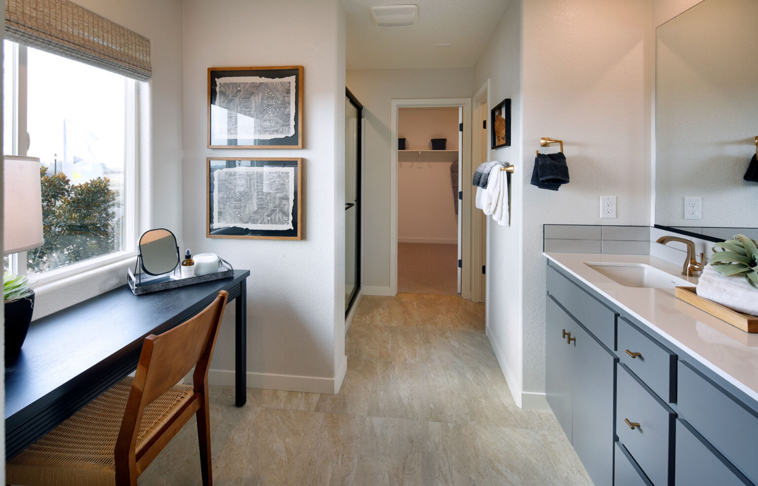 Vibrance Plan1 Model