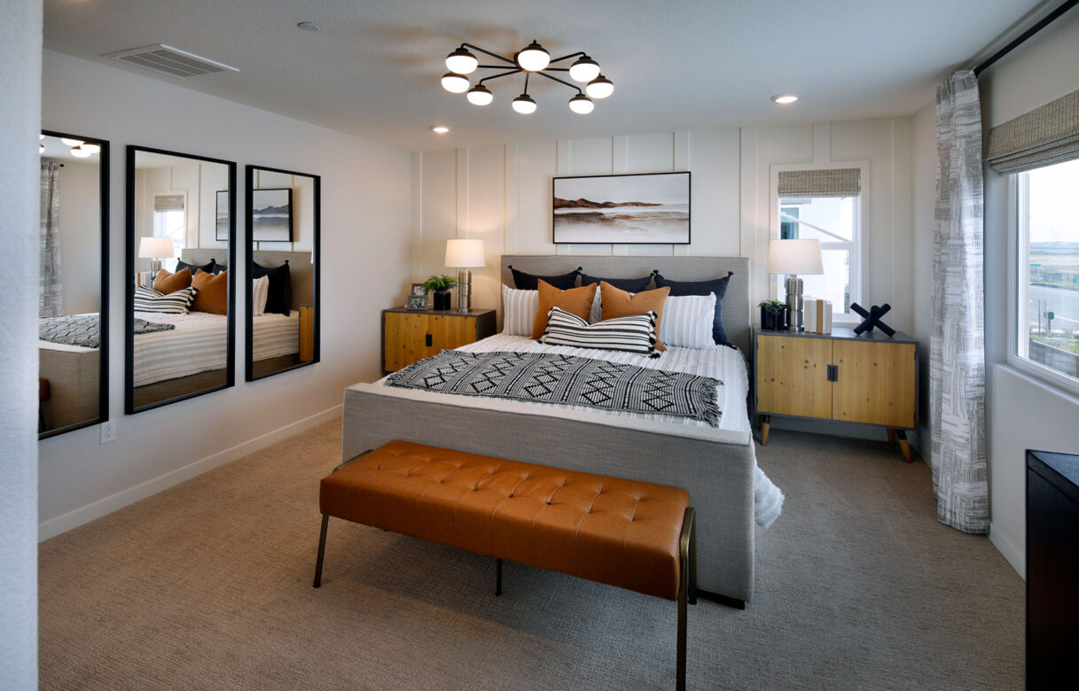 Vibrance Plan1 Model