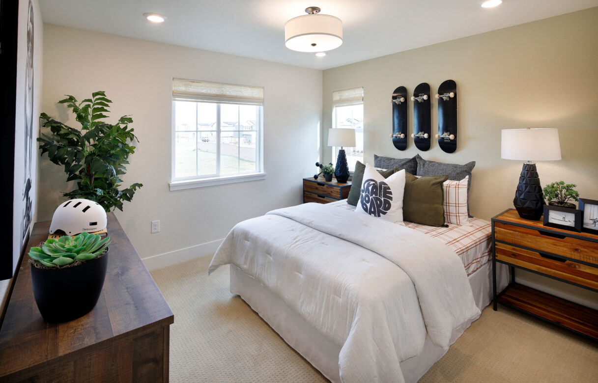 Vibrance Plan 2 Model