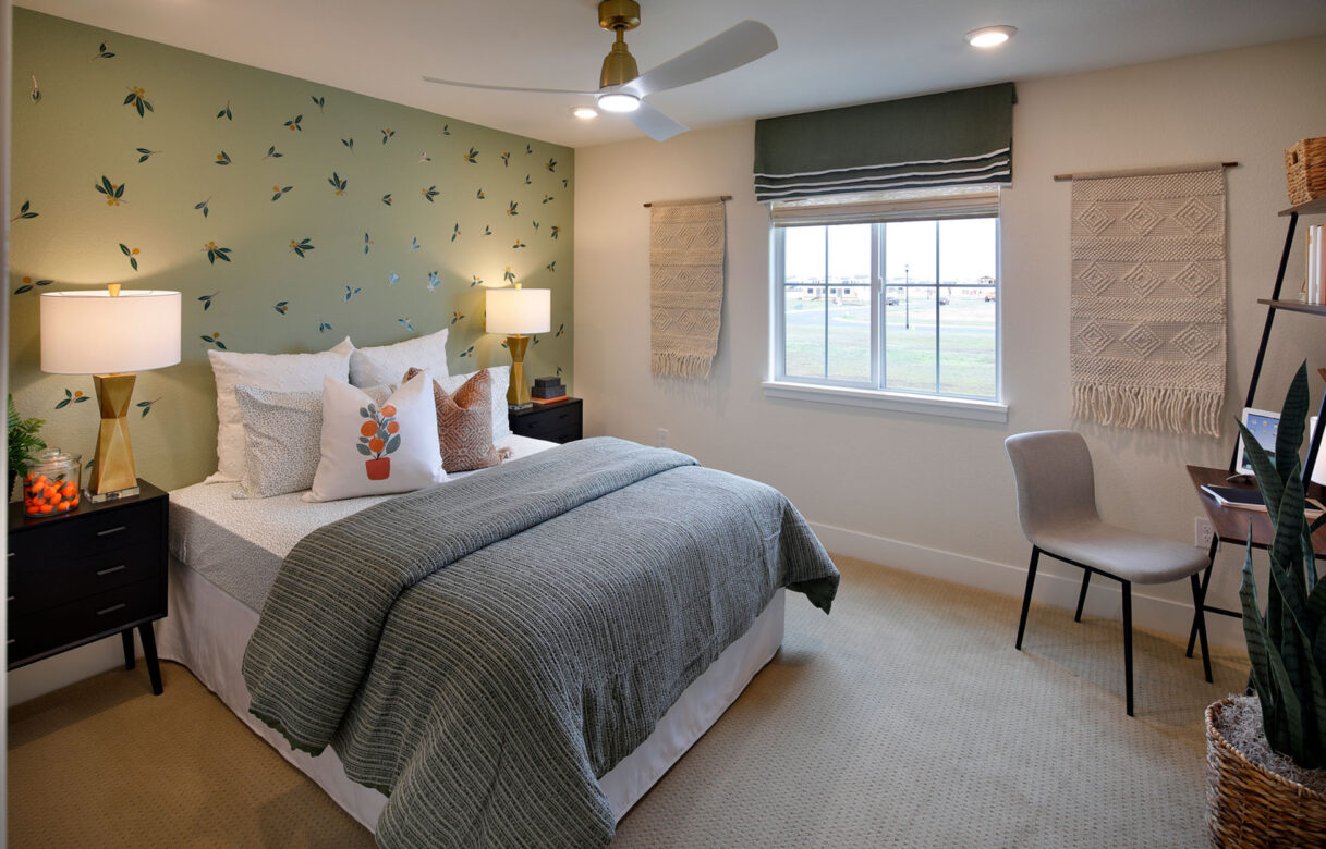 Vibrance Plan 2 Model