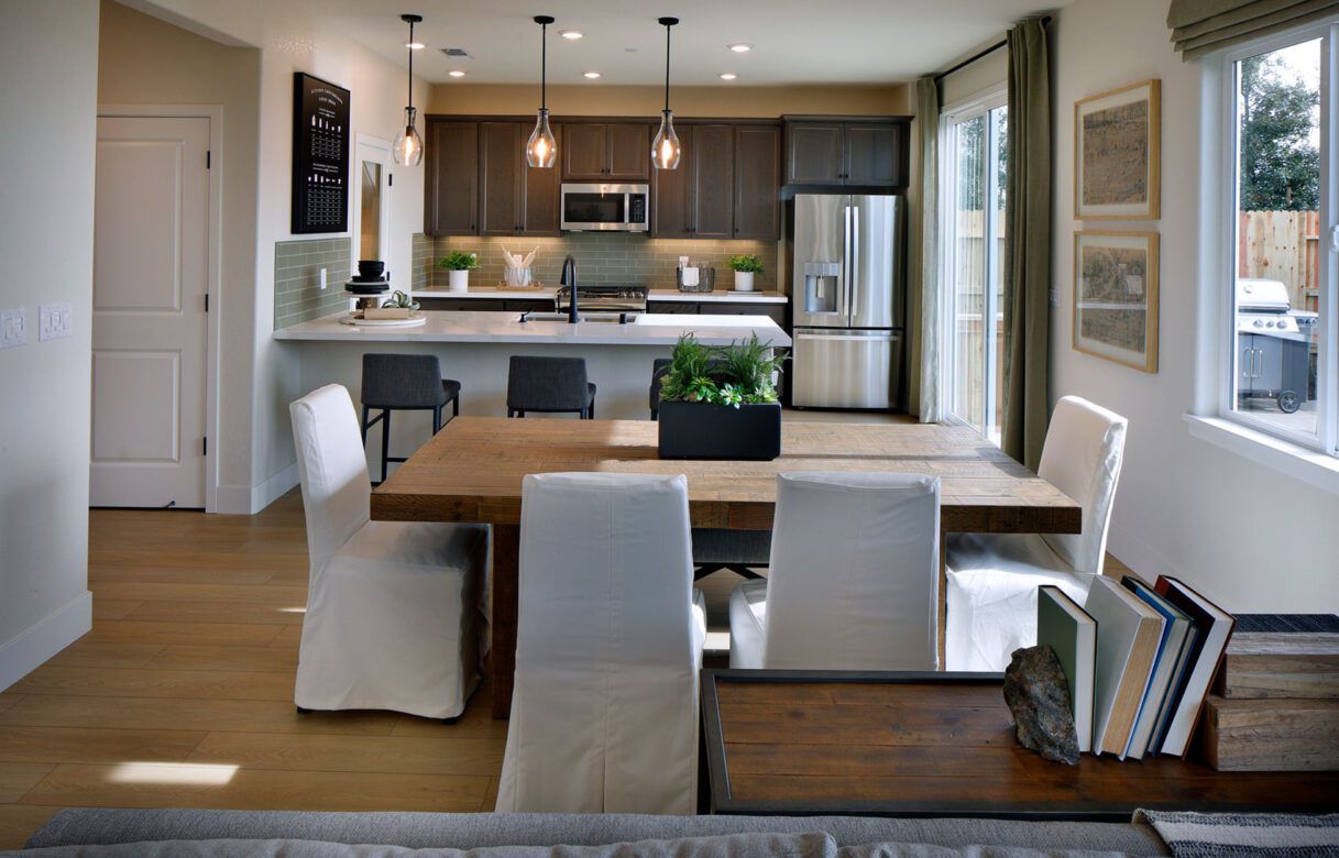 Vibrance Plan 2 Model