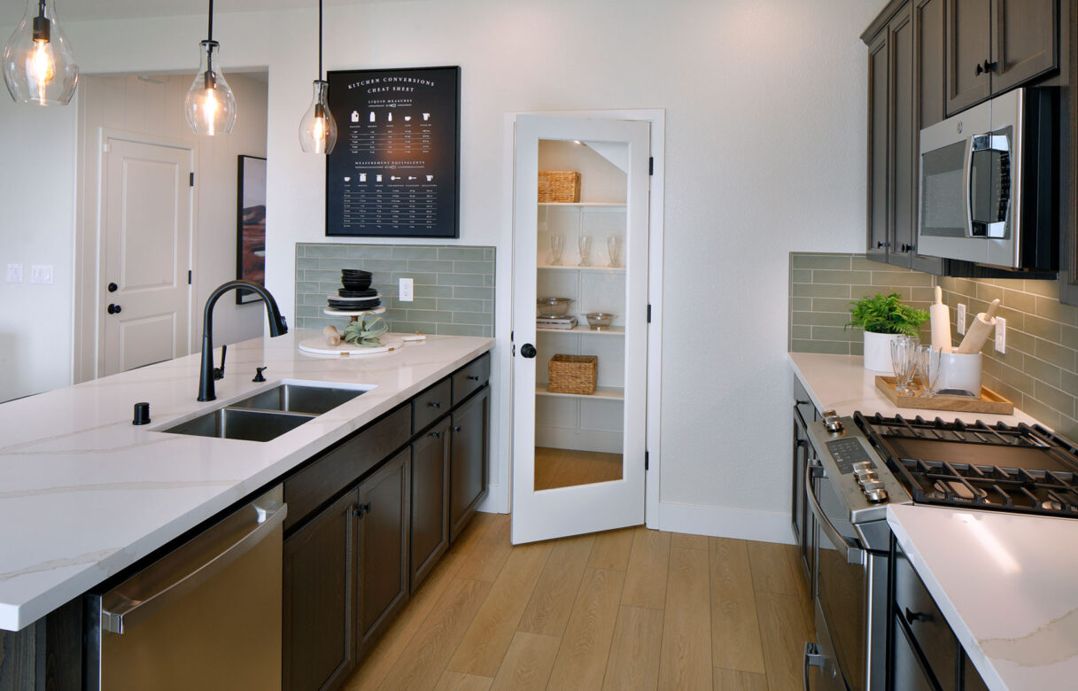 Vibrance Plan 2 Model