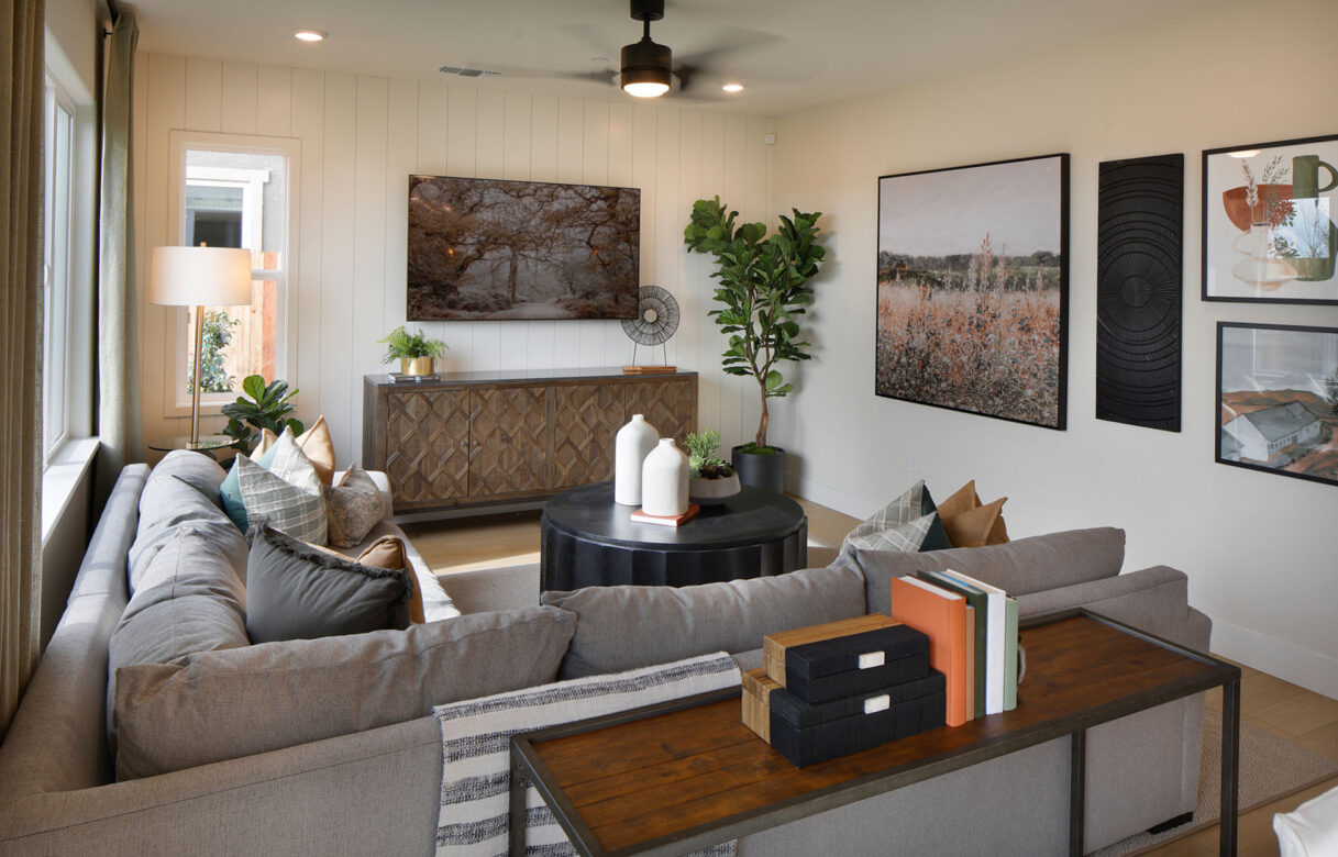 Vibrance Plan 2 Model