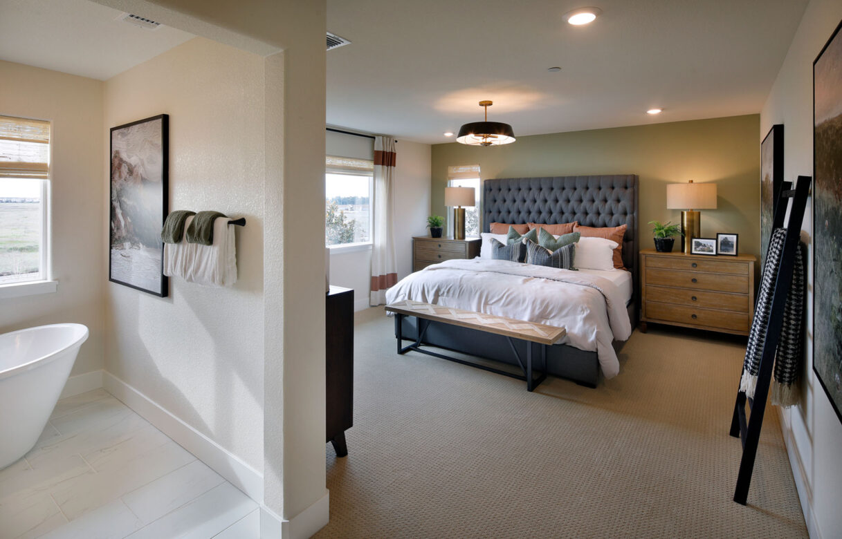 Vibrance Plan 2 Model