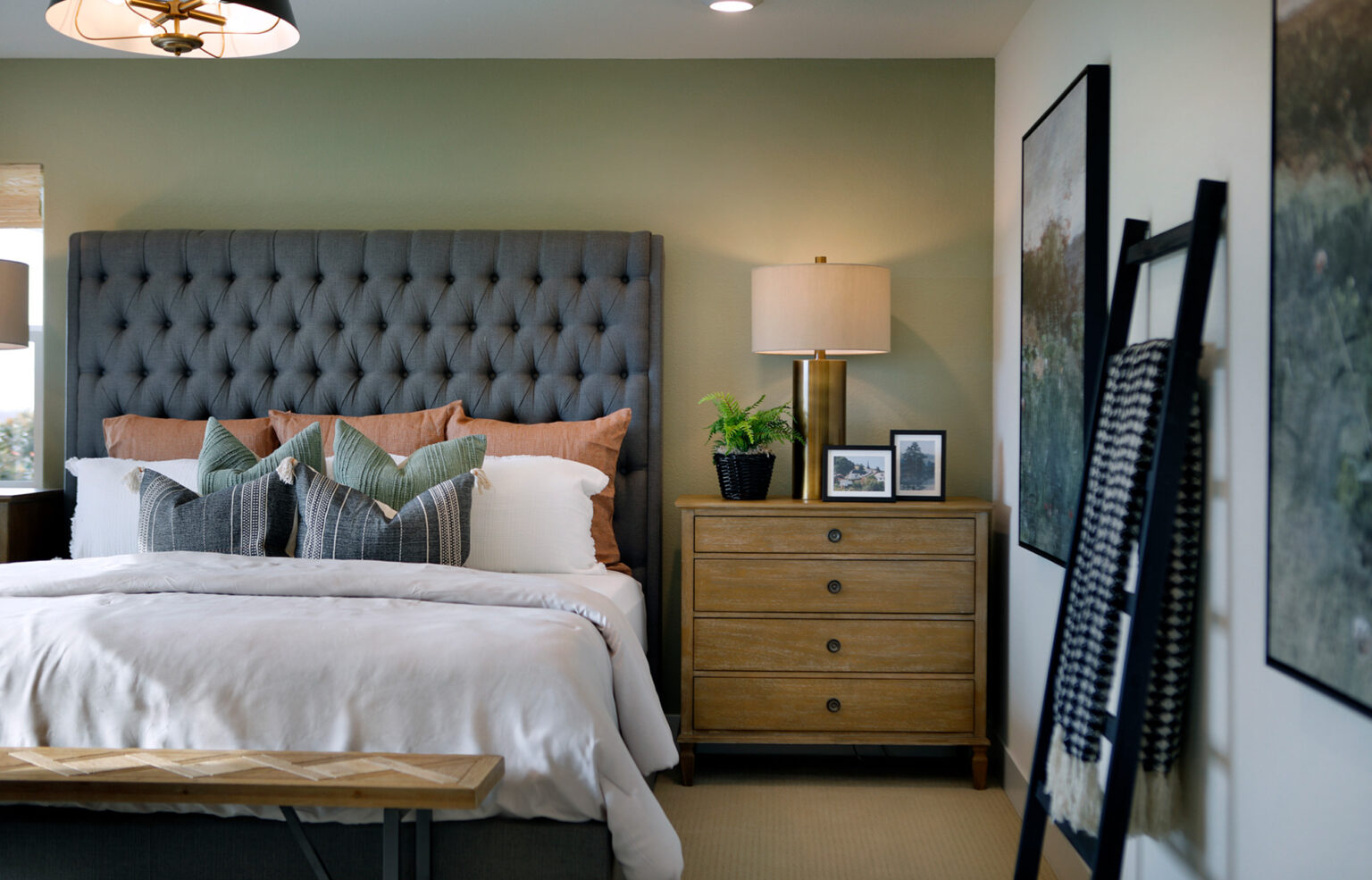 Vibrance Plan 2 Model