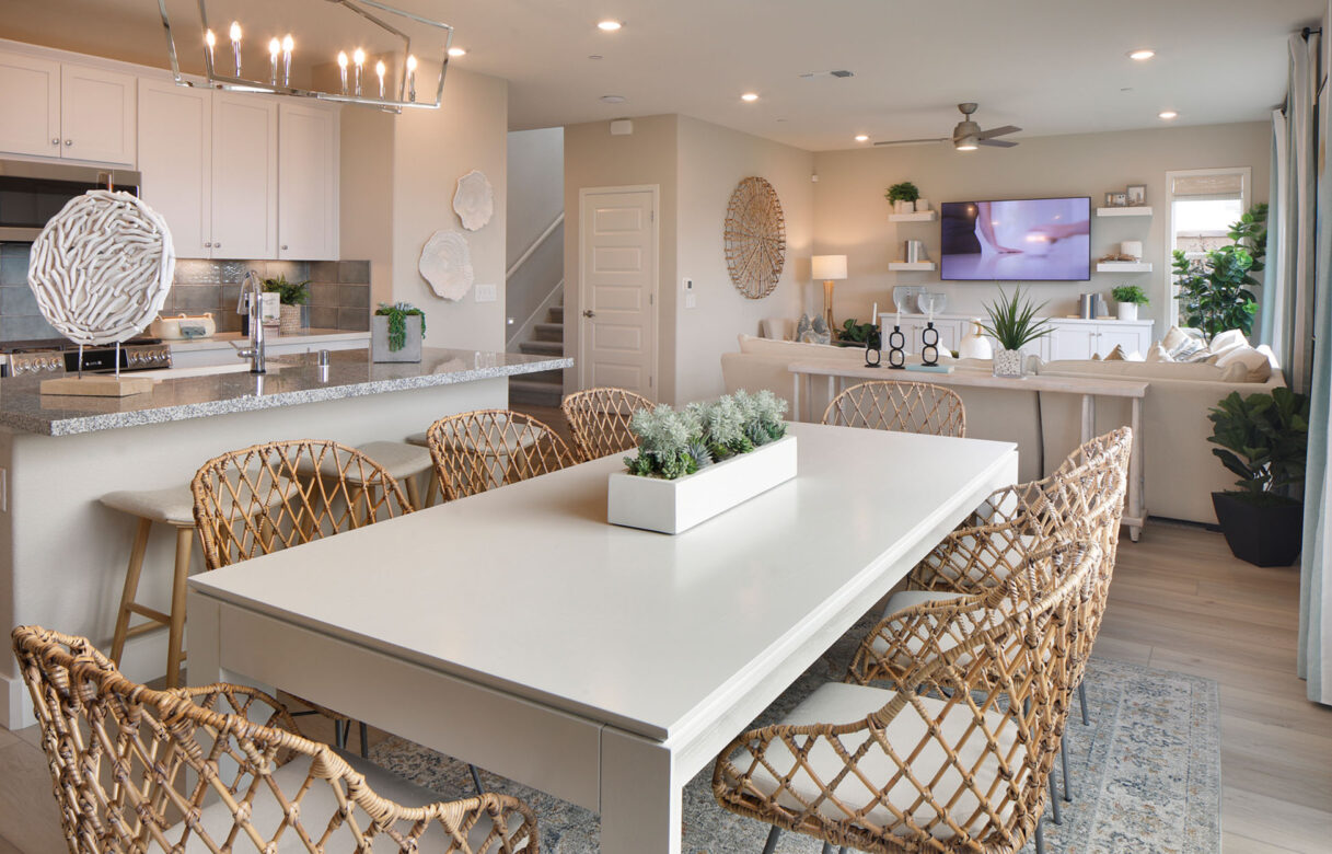 Vibrance Plan 3 Model