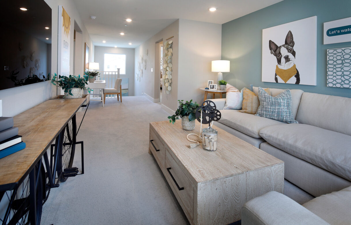 Vibrance Plan 3 Model