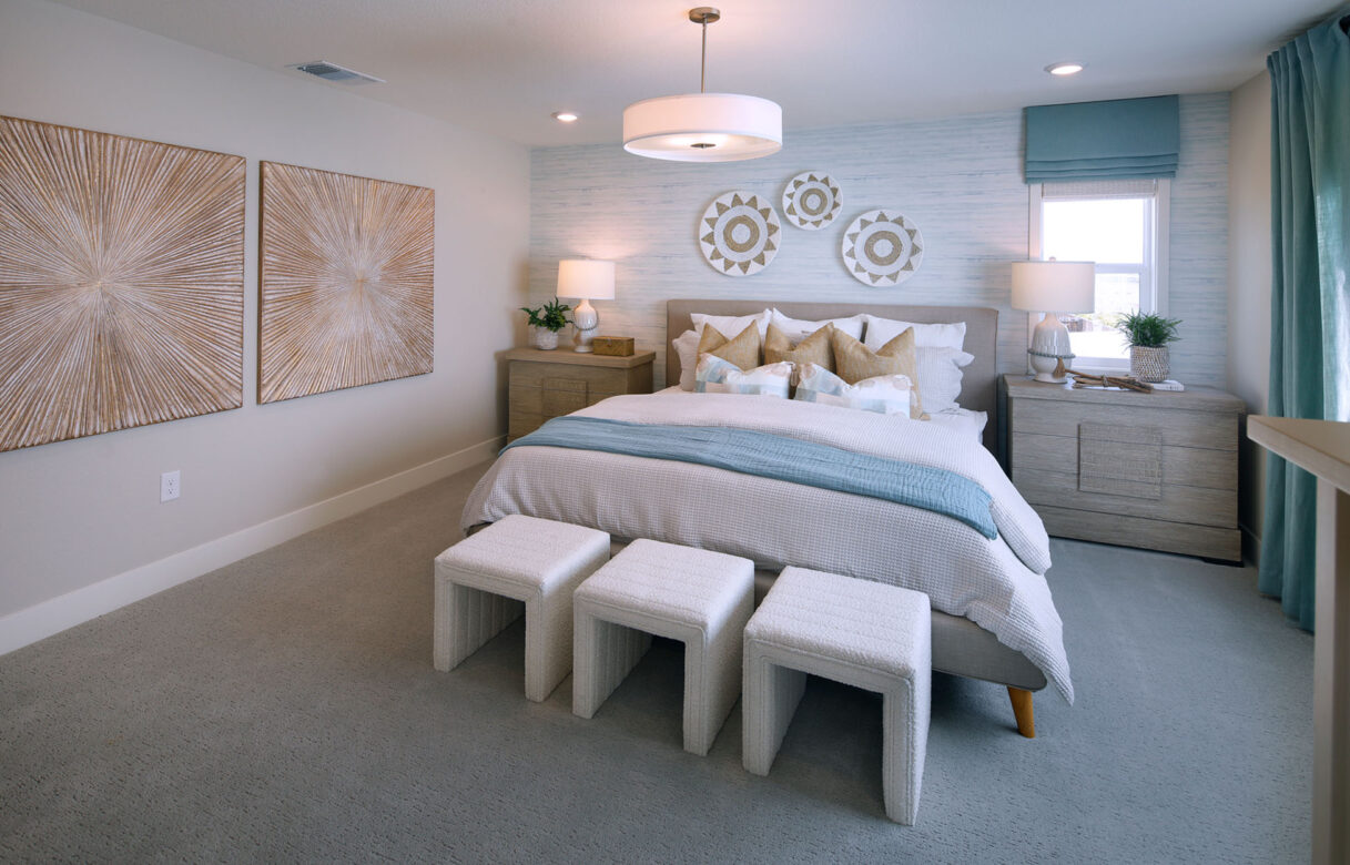 Vibrance Plan 3 Model