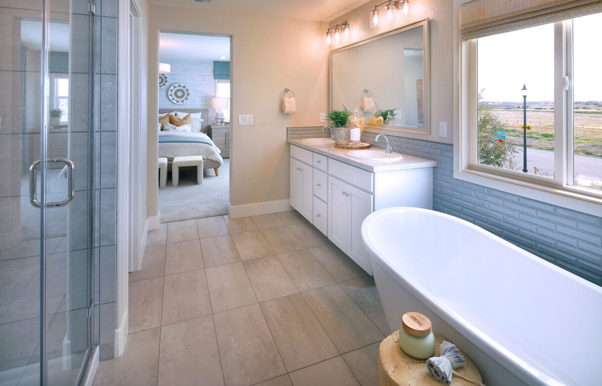 Vibrance Plan 3 Model