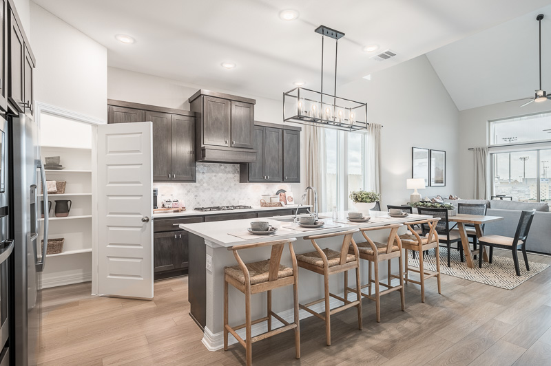 Longspur Plan | Representative Image