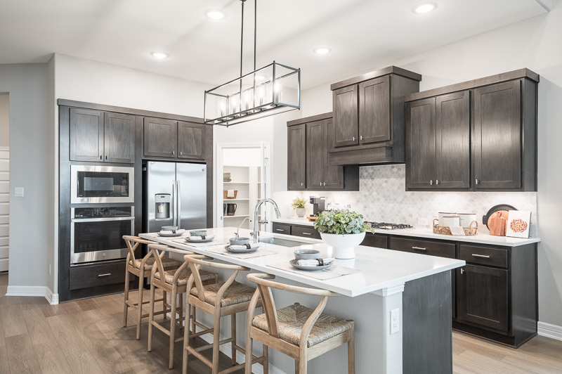 Longspur Plan | Representative Image