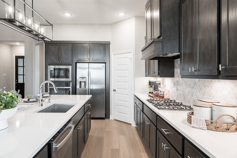 Longspur Plan | Representative Image