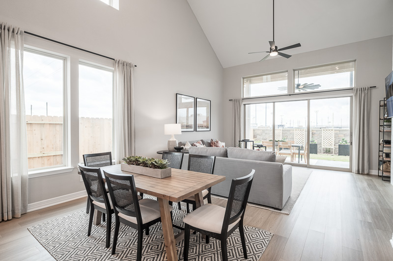 Longspur Plan | Representative Image