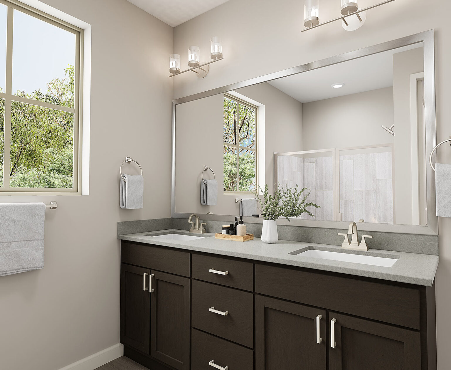 Vireo at Waterston Central