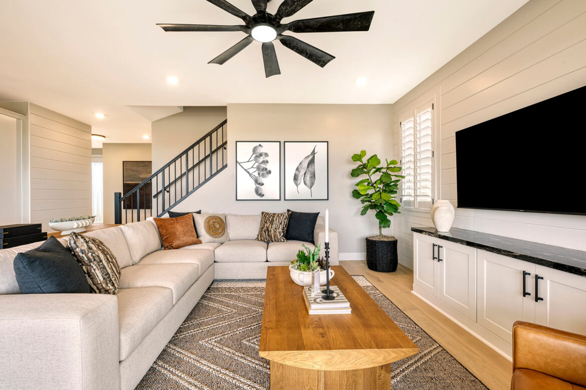 Vireo at Waterston Central