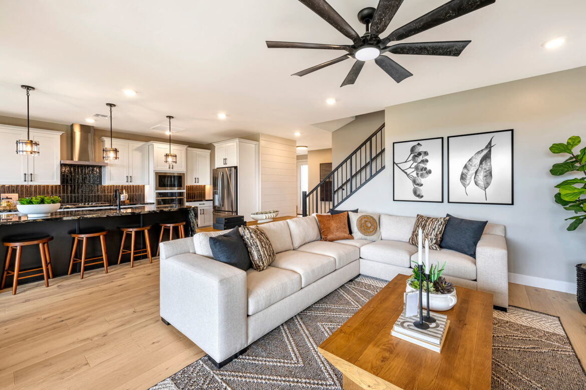 Vireo at Waterston Central