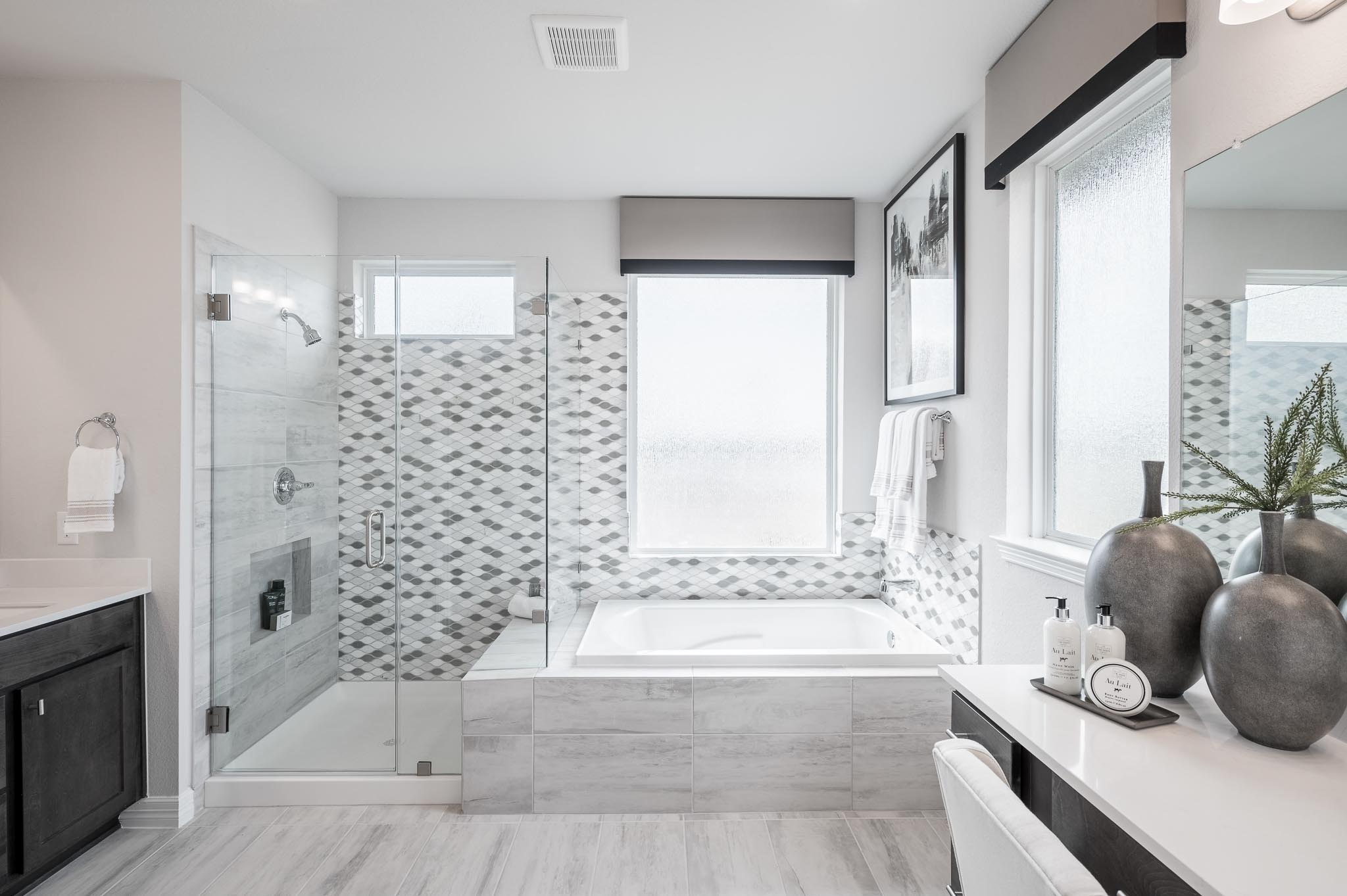 Merganser Plan | Representative Image