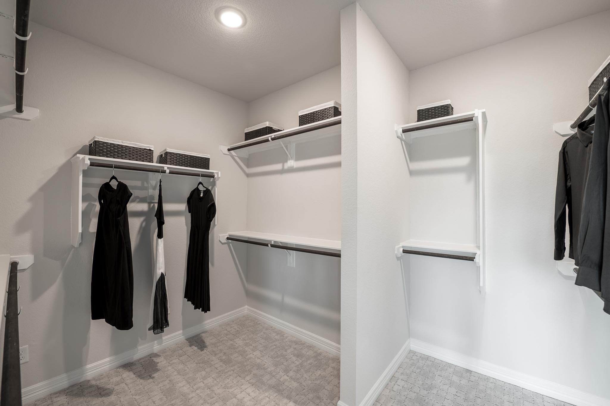 Merganser Plan | Representative Image