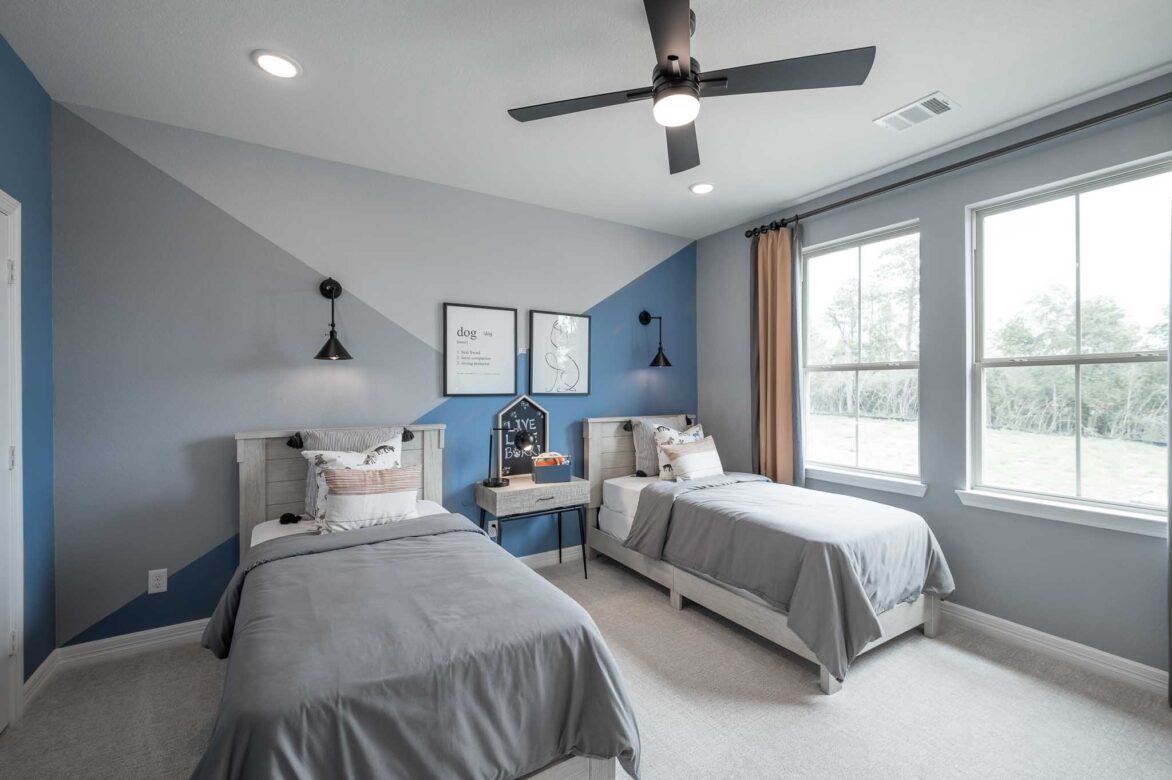 Verdin Model | Representative Image