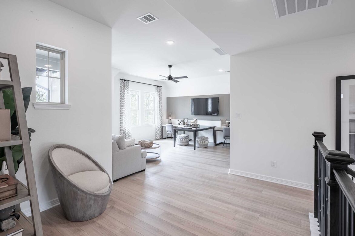 Verdin Model | Representative Image