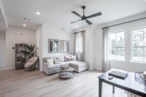 Verdin Model | Representative Image