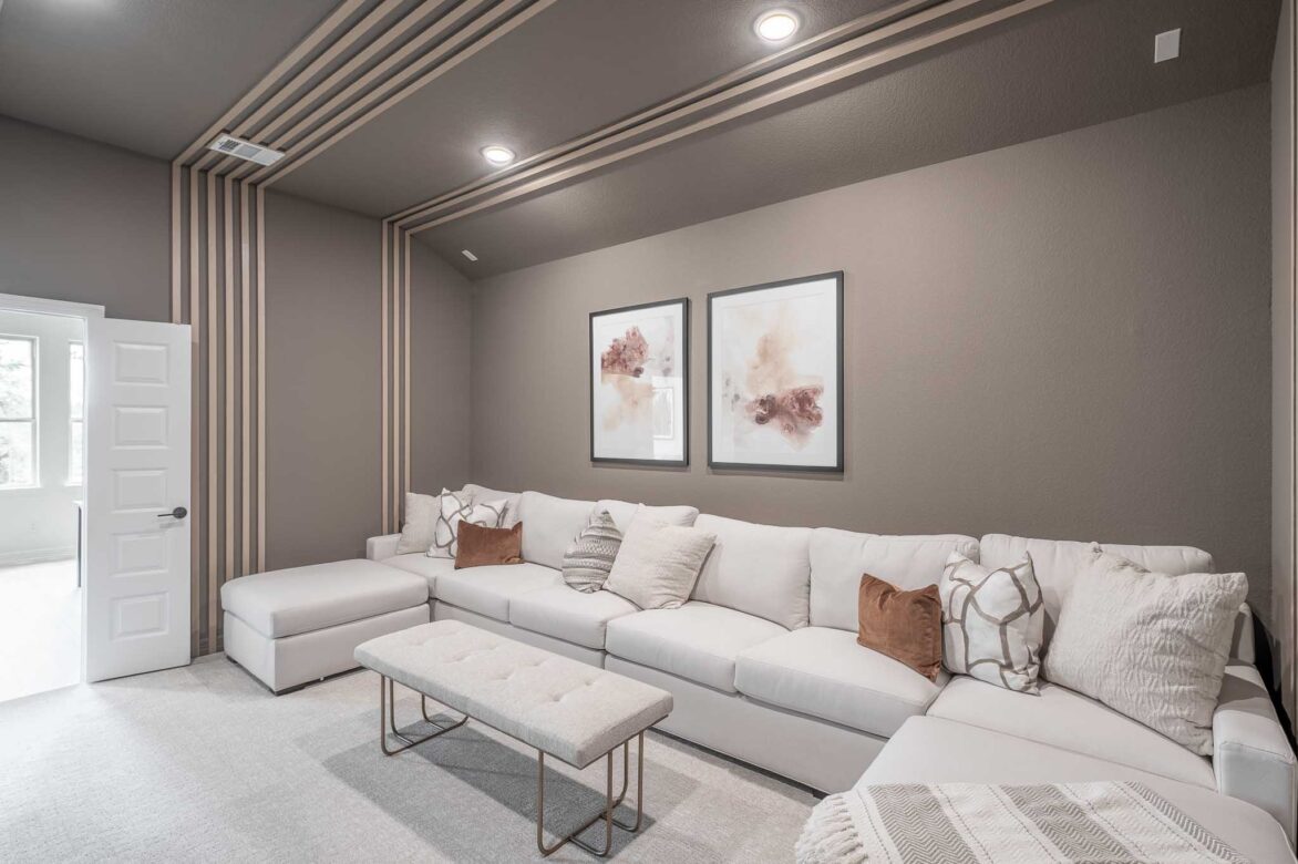 Verdin Model | Representative Image