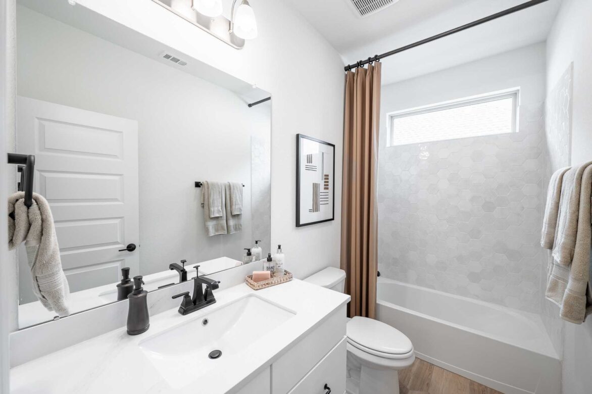 Verdin Model | Representative Image