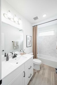 Verdin Model | Representative Image