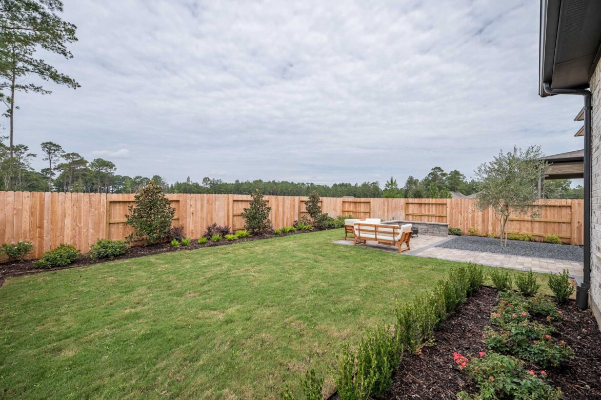 Verdin Model | Representative Image